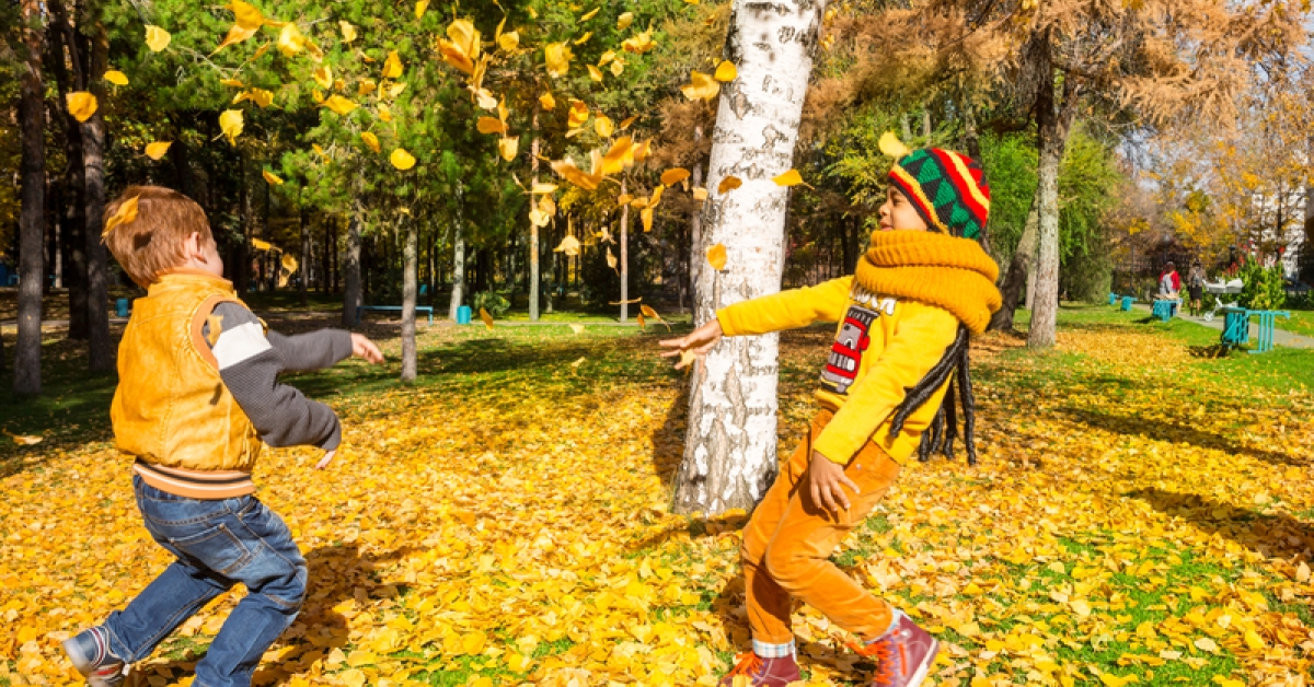 How to Stay Safe This Fall – Padek Healthcare Pharmacy